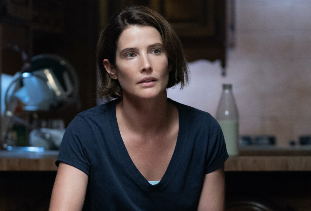 "I do not make those decisions": Cobie Smulders Returns to Marvel After ...
