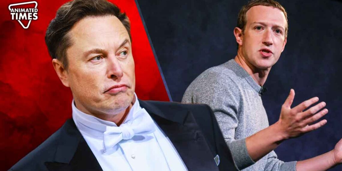"Zuck is a c*ck": Elon Musk Wants to Compete With Mark Zuckerberg in a ...