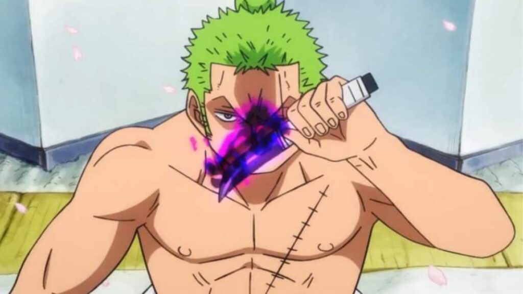 "They are a emperors crew and deserve it": Just Zoro and Sanji Using ...
