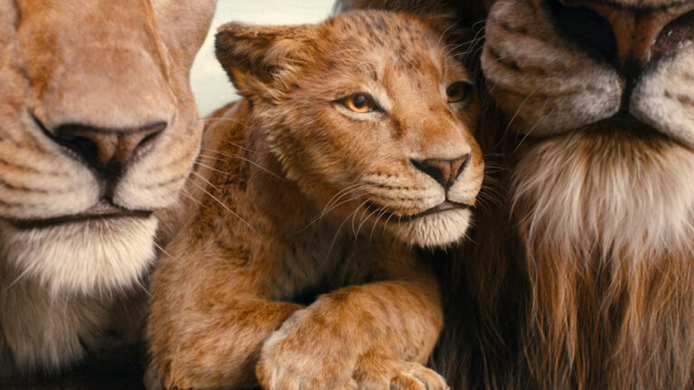 5 Reasons "Mufasa: The Lion King" Bombed at the Box Office
